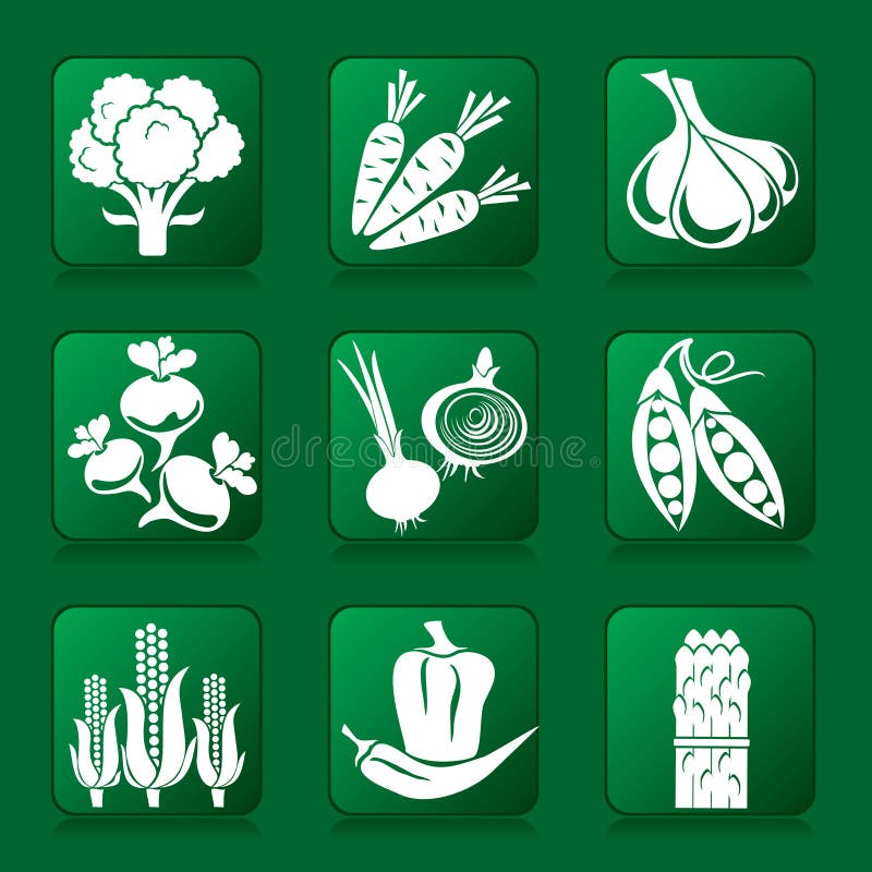 Root vegetables icons. stock vector. Illustration of flat - 59465386