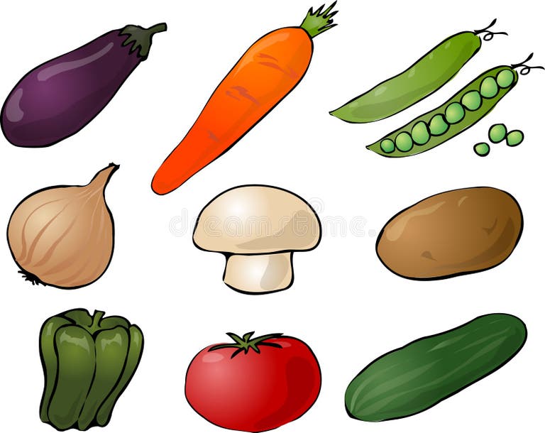 Vegetables illustration stock vector. Illustration of potato - 1790245