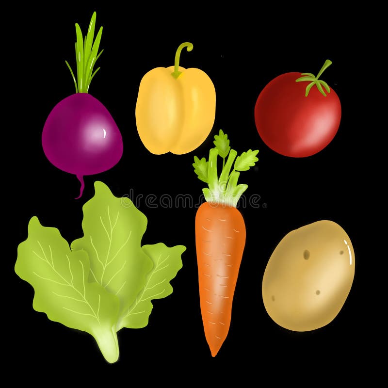 Vegetables Illustration, Digital Illistration Art, Digital Drawing ...