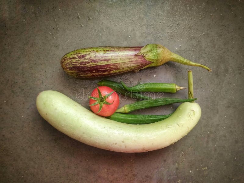Vegetables of india stock image. Image of fresh, vegetables - 138088099