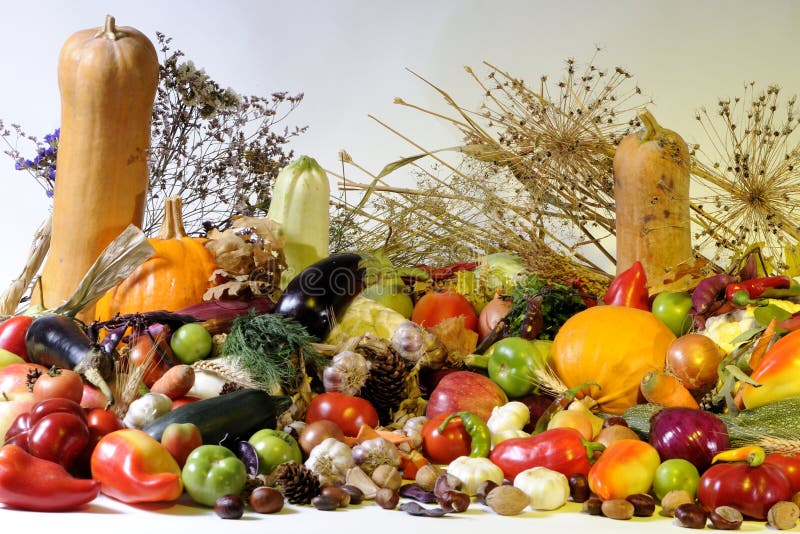 Vegetables isolated stock image. Image of closeup, herbs - 11460635