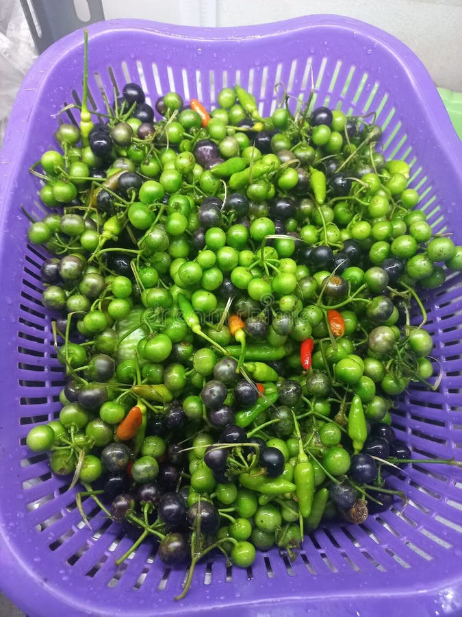 Vegetables Lenca Simple Indonesian Food Menu Stock Photo - Image of ...