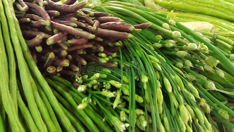 Vegetables Long Beans Chives Bitter Gourd Stock Image - Image of beans ...
