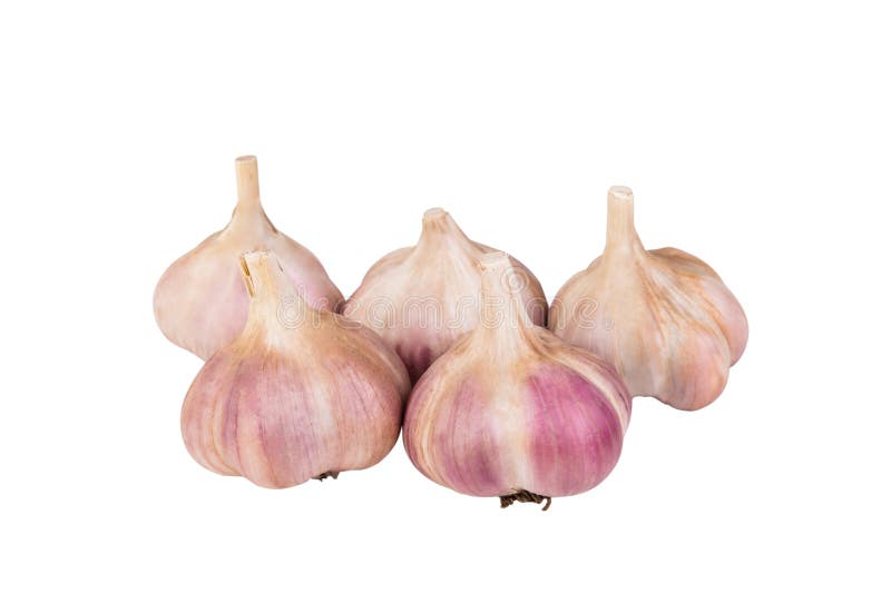Vegetables a Lot of Garlic Bulbs Stock Photo - Image of meal, colorful ...