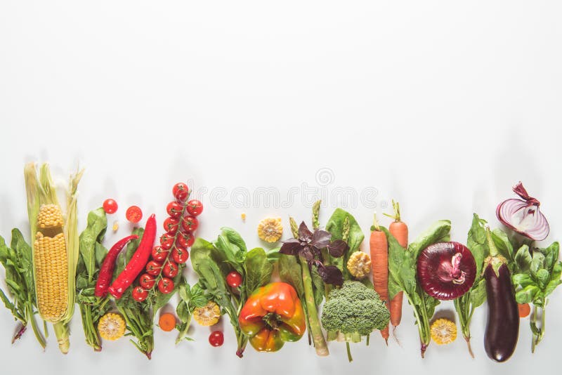 Vegetables lying in row stock photo. Image of ingredients - 99422700