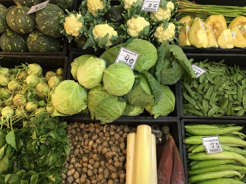 Vegetables stock photo. Image of vegetables, pumpkin - 87054066