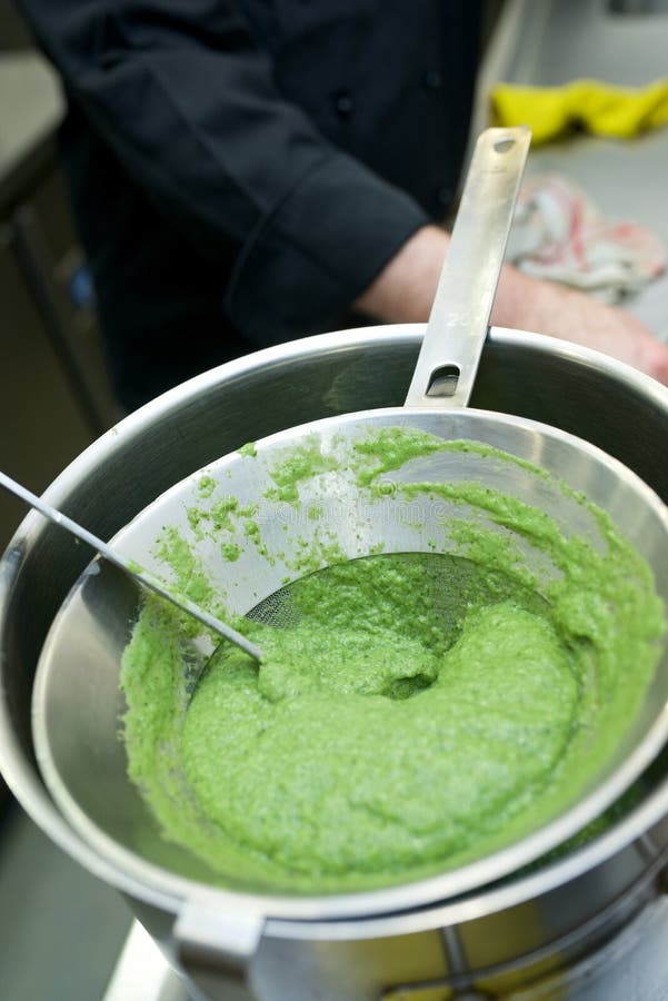 Vegetables Pureed Preparation Stock Photo - Image of preparation, male ...