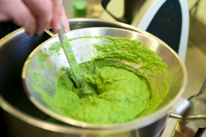 Vegetables Pureed Preparation Stock Photo - Image of cuisine, closeup ...