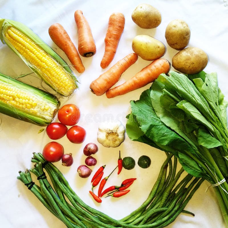 Vegetables for Real Health Life Stock Image - Image of vegetables ...