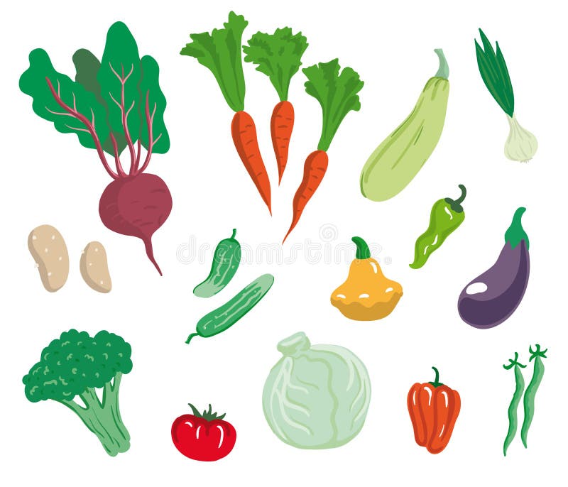 Vegetables. Set of Simple Color Illustrations Stock Vector ...