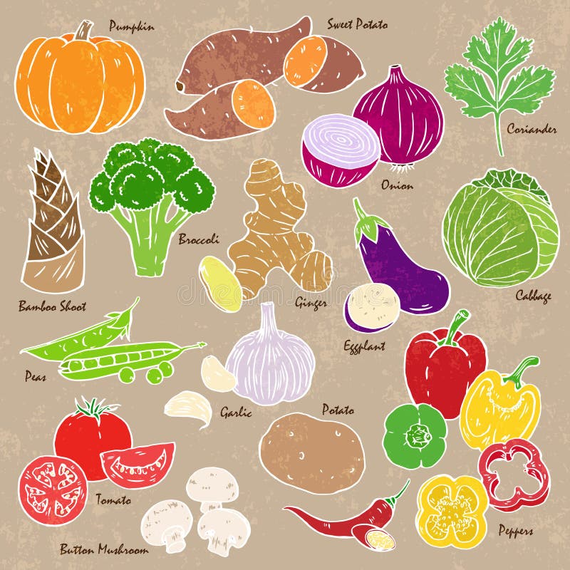 Vegetables and spices. stock vector. Illustration of meal - 69236836