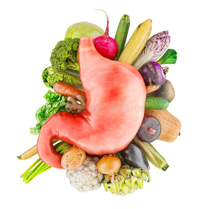 Vegetables for Stomach. Healthy Food for Digestive System Concept Stock ...