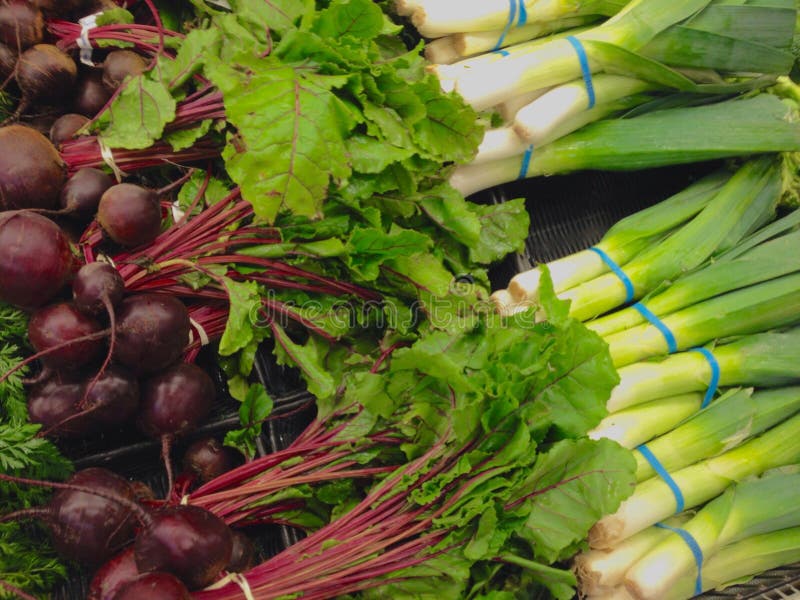Vegetables in the stores editorial photography. Image of dinner - 57252062