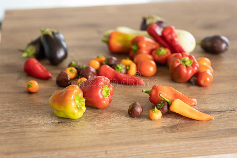 Vegetables on the table stock photo. Image of ingredient - 255539932