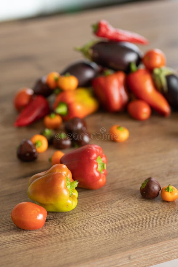 Vegetables on the table stock photo. Image of view, fresh - 255539900