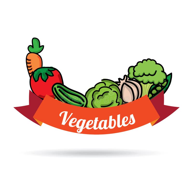 Vegetables Vector stock vector. Illustration of design - 44580598