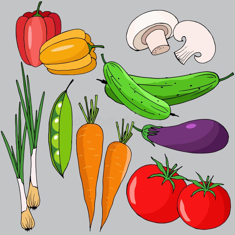 Vegetables Gray Stock Illustrations – 1,403 Vegetables Gray Stock ...