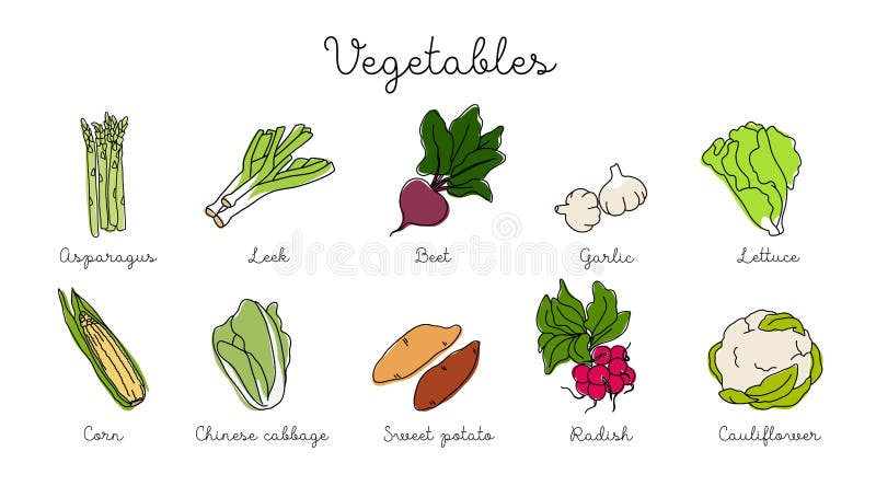 Vegetables Vector Set in Outline with Colored Elements Stock Vector ...