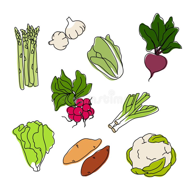Vegetables Vector Set in Outline with Colored Elements. Isolated ...