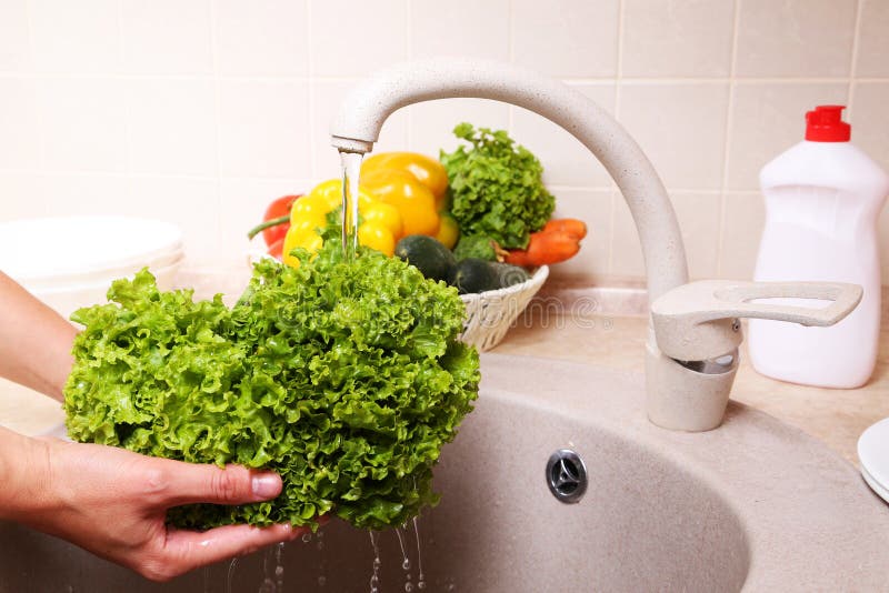 Vegetables Washing in a Kitchen Stock Photo - Image of leaf, cucumber ...