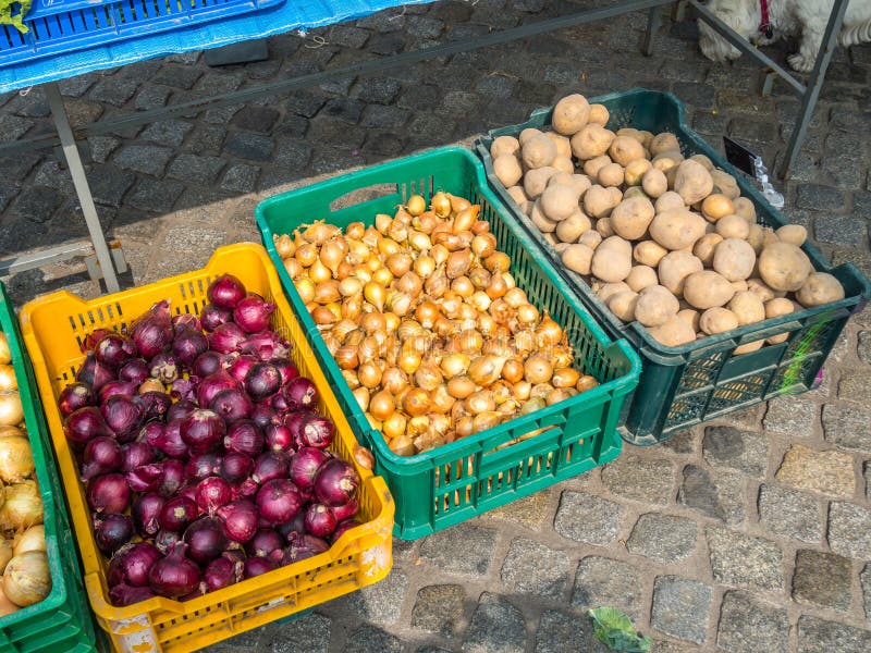 Vegetables at the Weekly Market Stock Image - Image of celery, kohlrabi ...