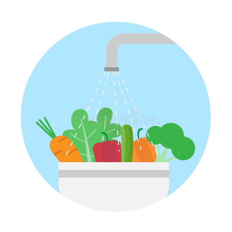 Vegetais De Lavagem Limpe O Alimento Ilustração do Vetor - Ilustração ...