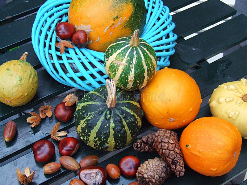 Legumes Sazonais Em Caixas De Madeira Foto de Stock - Imagem de dieta ...
