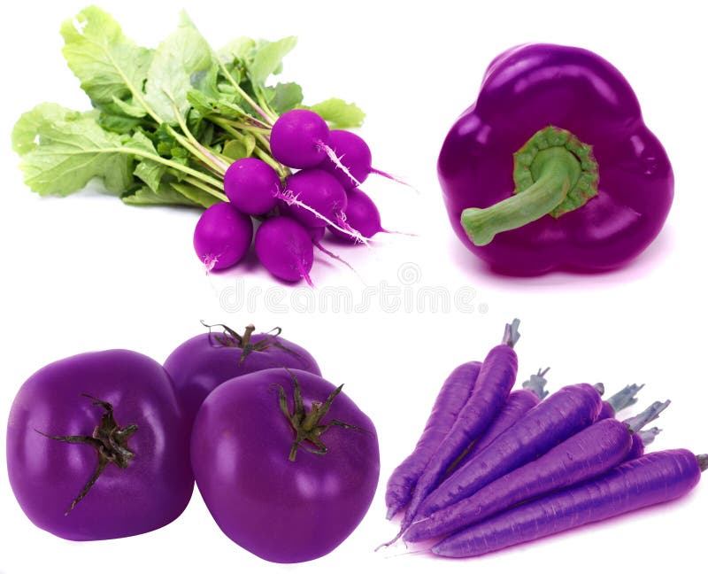 Vegetal roxo imagem de stock. Imagem de folha, semente - 33672819