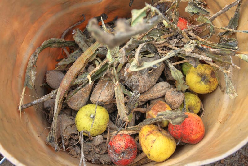Vegetales Y Plantas Podridos Imagen de archivo - Imagen de fondo, verde ...