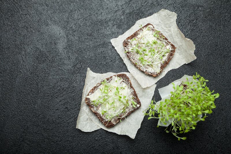 Vegetarian Breakfast of Micro Greens Salad on Black Bread, Space for ...