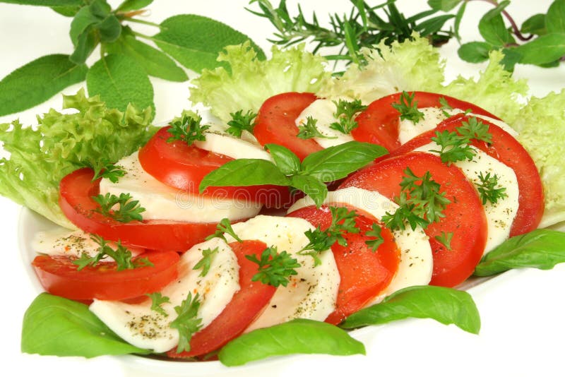 Vegetarian lunch stock image. Image of tomatos, vegetable - 10804061