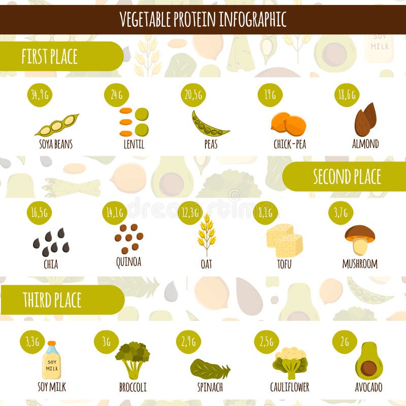 Vegetarian Protein Infographic Stock Vector - Illustration of diet ...