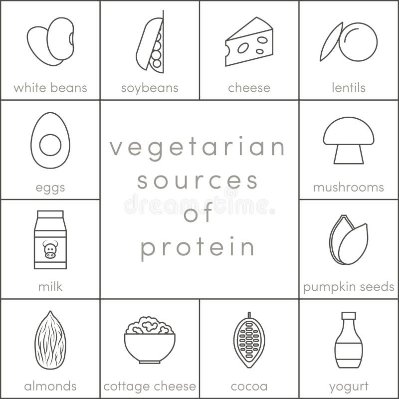 Vegetarian Sources of Protein Stock Illustration - Illustration of ...