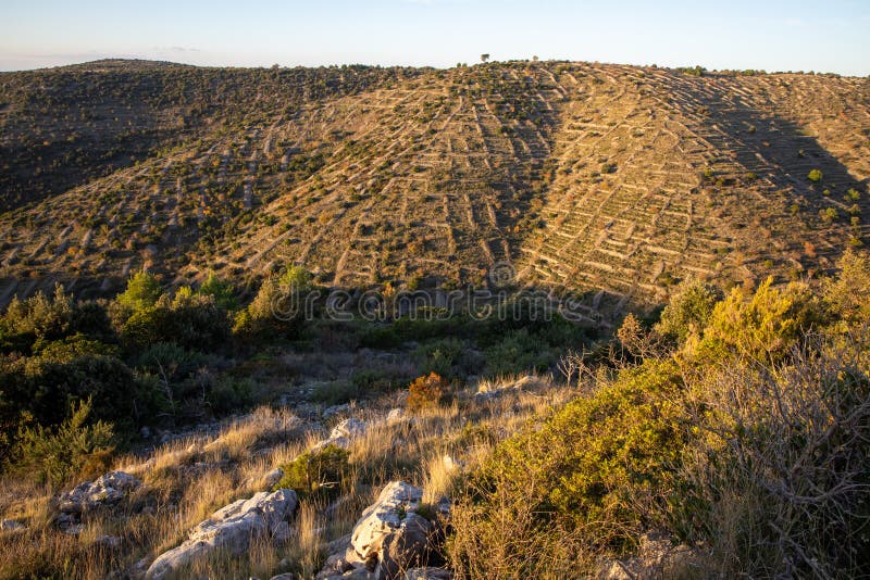Vegetated Terraces on a Rolling Hill Landscape Stock Image - Image of ...
