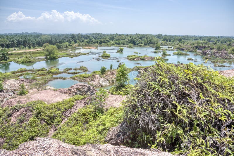 Vegetation Around the Abandoned Mine Pond. Stock Image - Image of ...