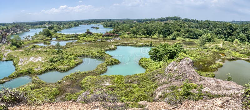 Vegetation Around the Abandoned Mine Pond. Stock Image - Image of clear ...