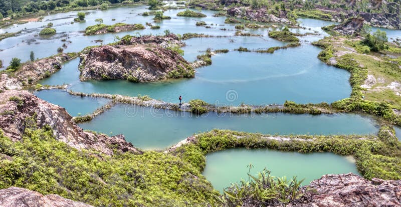Vegetation Around the Abandoned Mine Pond. Stock Image - Image of ...