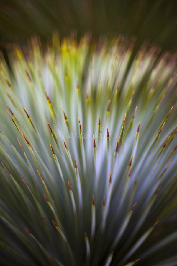 Vegetation background stock image. Image of green, gardening - 40535771