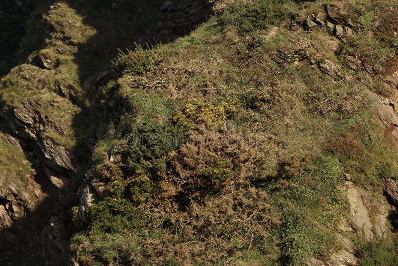 Cliffside Texture Photos - Free & Royalty-Free Stock Photos from Dreamstime