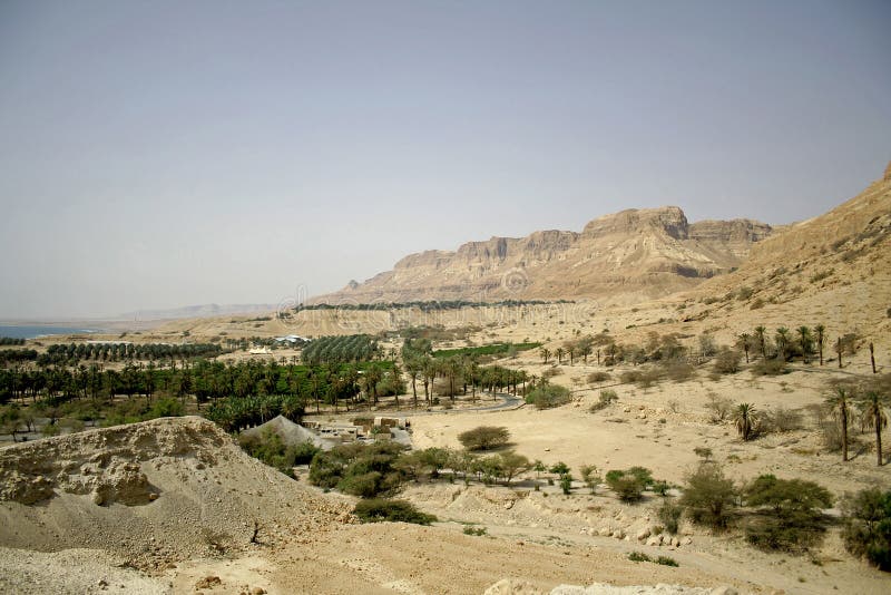 Jericho stock photo. Image of land, arab, monastery, cell - 27179986