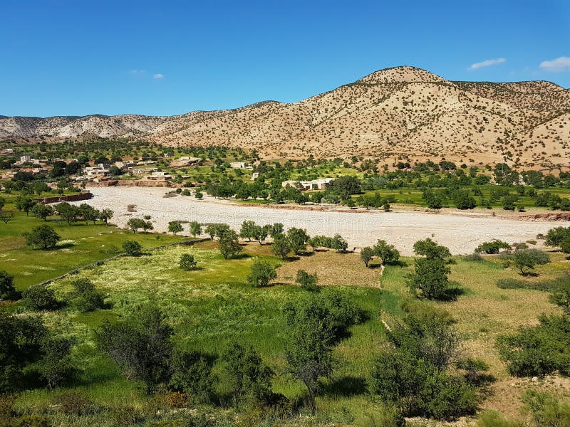 Vegetation, Ecosystem, Chaparral, Wilderness Picture. Image: 132188482