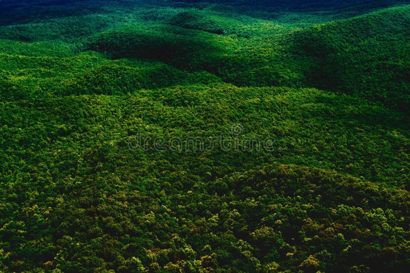 Vegetation, Ecosystem, Nature Reserve, Grass Picture. Image: 101092679