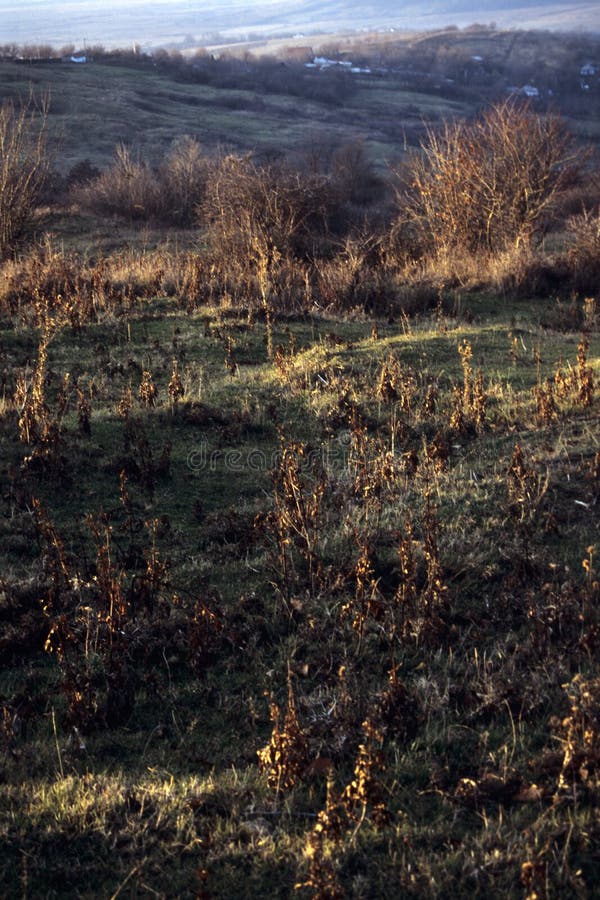 Vegetation in fall season stock photo. Image of landscape - 13418974