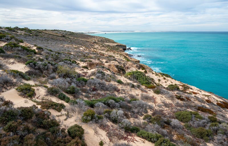 Vegetation in Head of Bight, South Australia on Nullarbor Plain Stock ...