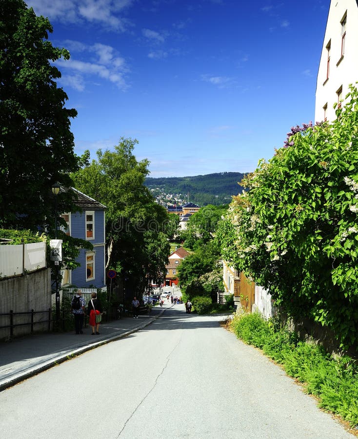 Vegetation lined street editorial photography. Image of norway - 75686782