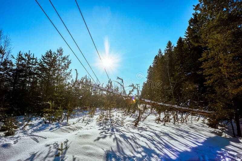 Power Outage Likely Due To Tree Impeding High Voltage Wires Electrical ...