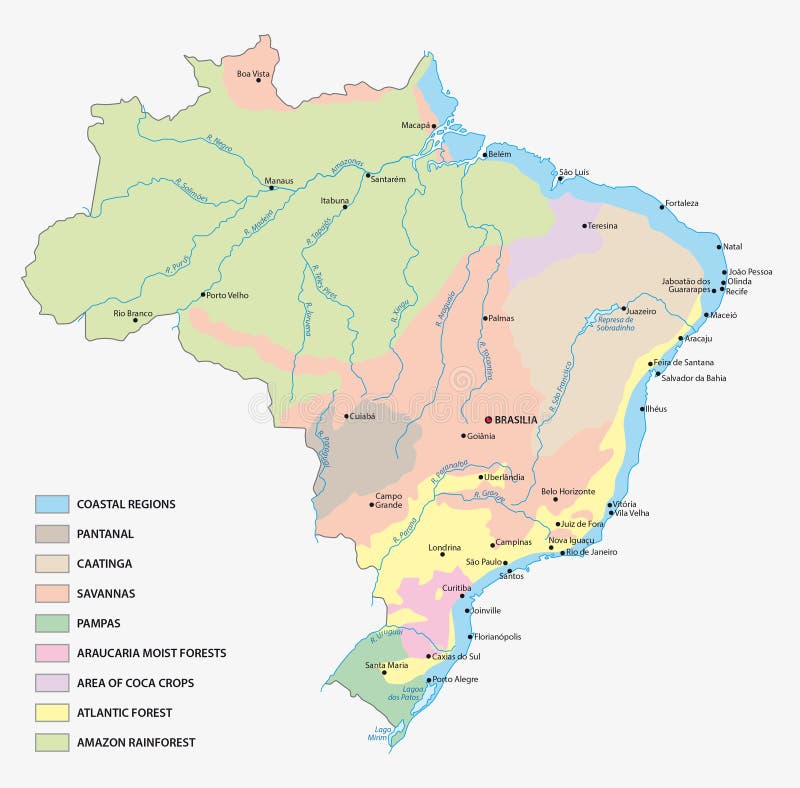 Vegetation map Brazil stock illustration. Illustration of area - 68229778