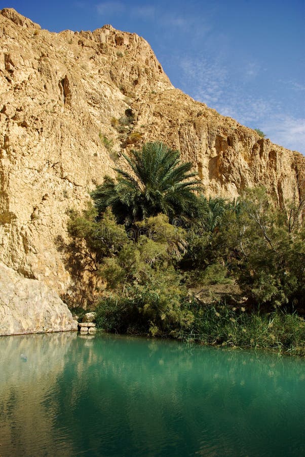 Palm Trees Over Small River in Desert Oasis Stock Photo - Image of ...