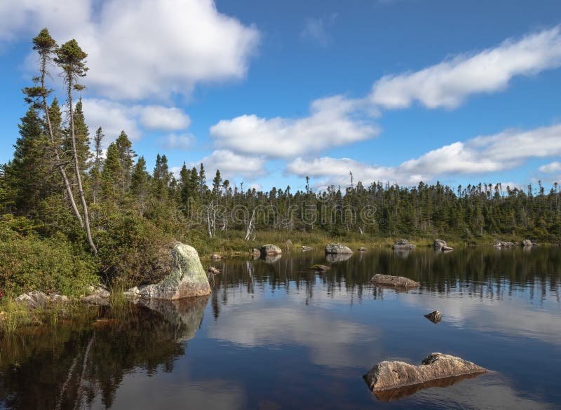 Vegetation and Rocks at Berry Hill Pond Newfoundland Stock Image ...