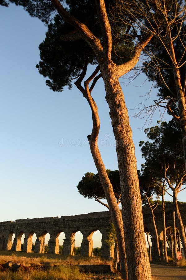 Vegetation In Ancient Rome